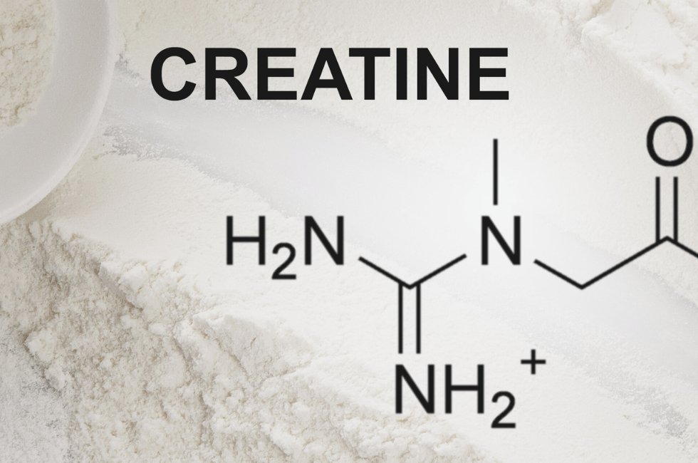 Should You Be Adding Creatine To Your Shake? - Fitness Incentive
